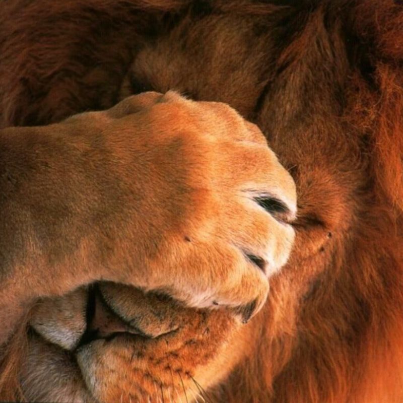 Tasha Robinson | Polygon