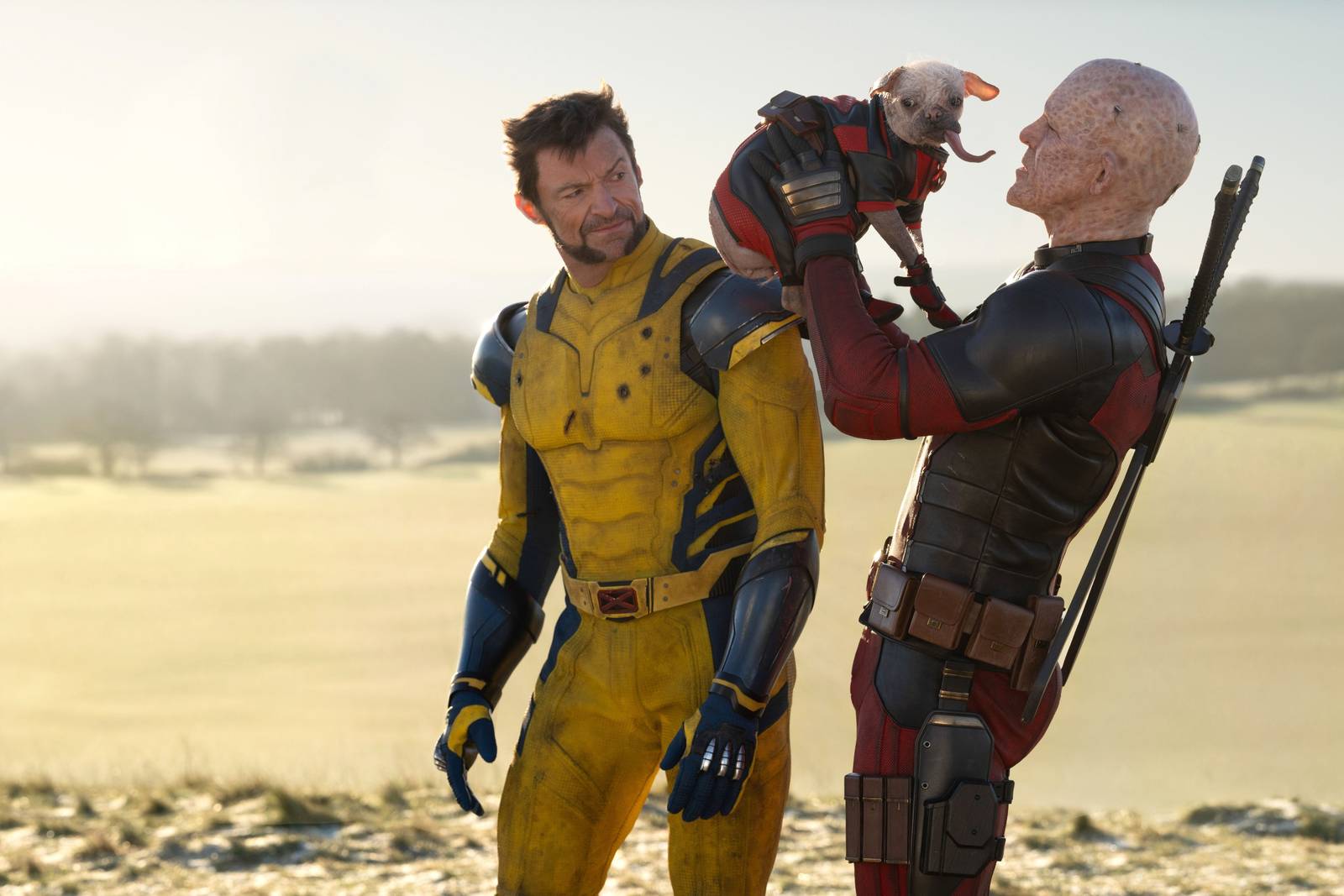 2024 movie sequels, ranked: Were any of them necessary?