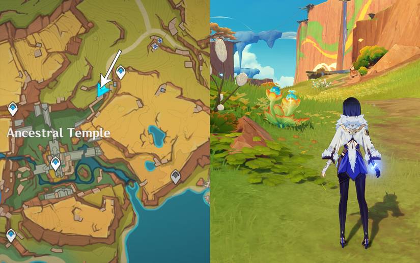Quenepa Berry locations and best farming route in Genshin Impact