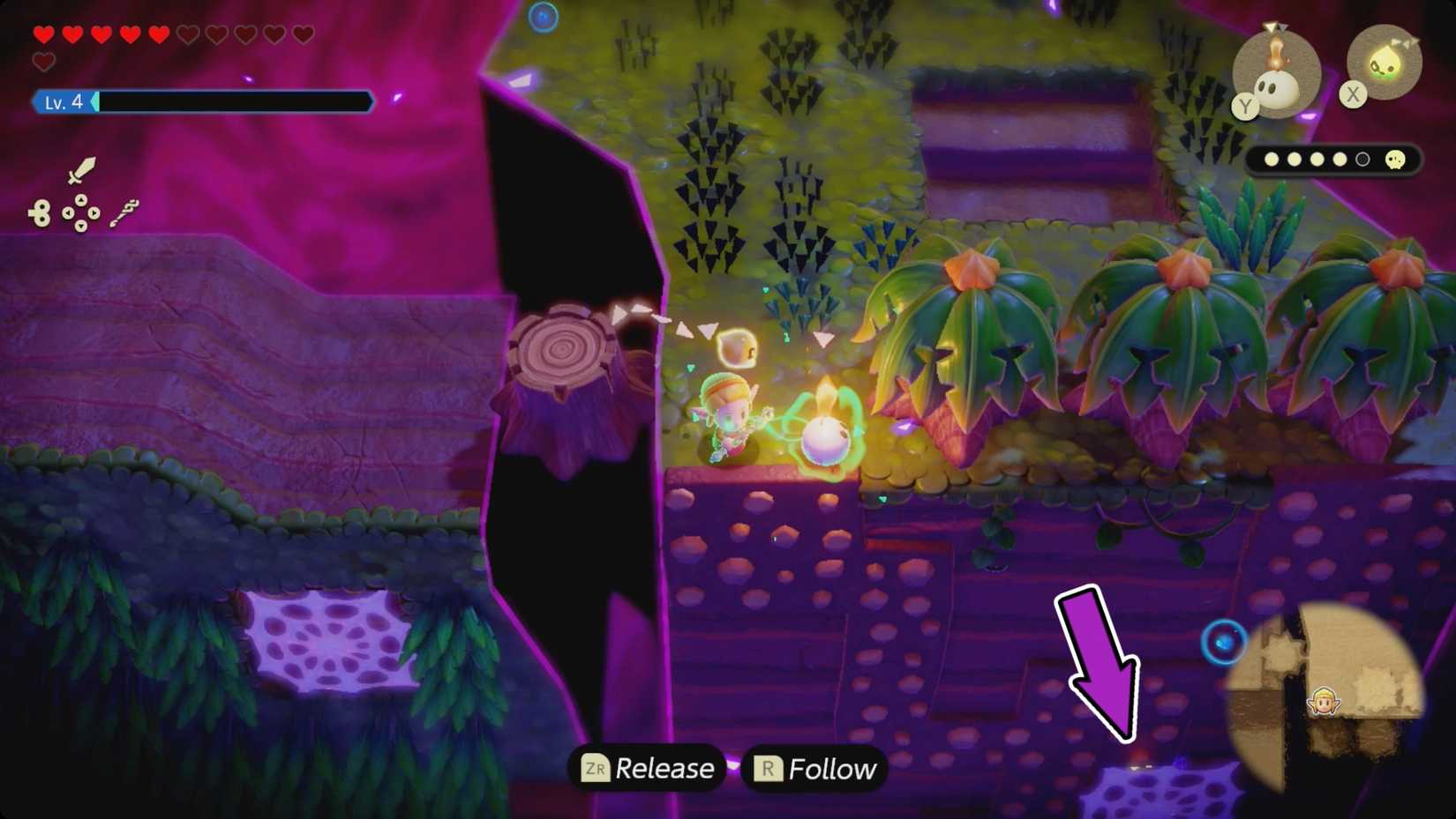 Stilled Heart Lake Rift walkthrough in Zelda Echoes of Wisdom