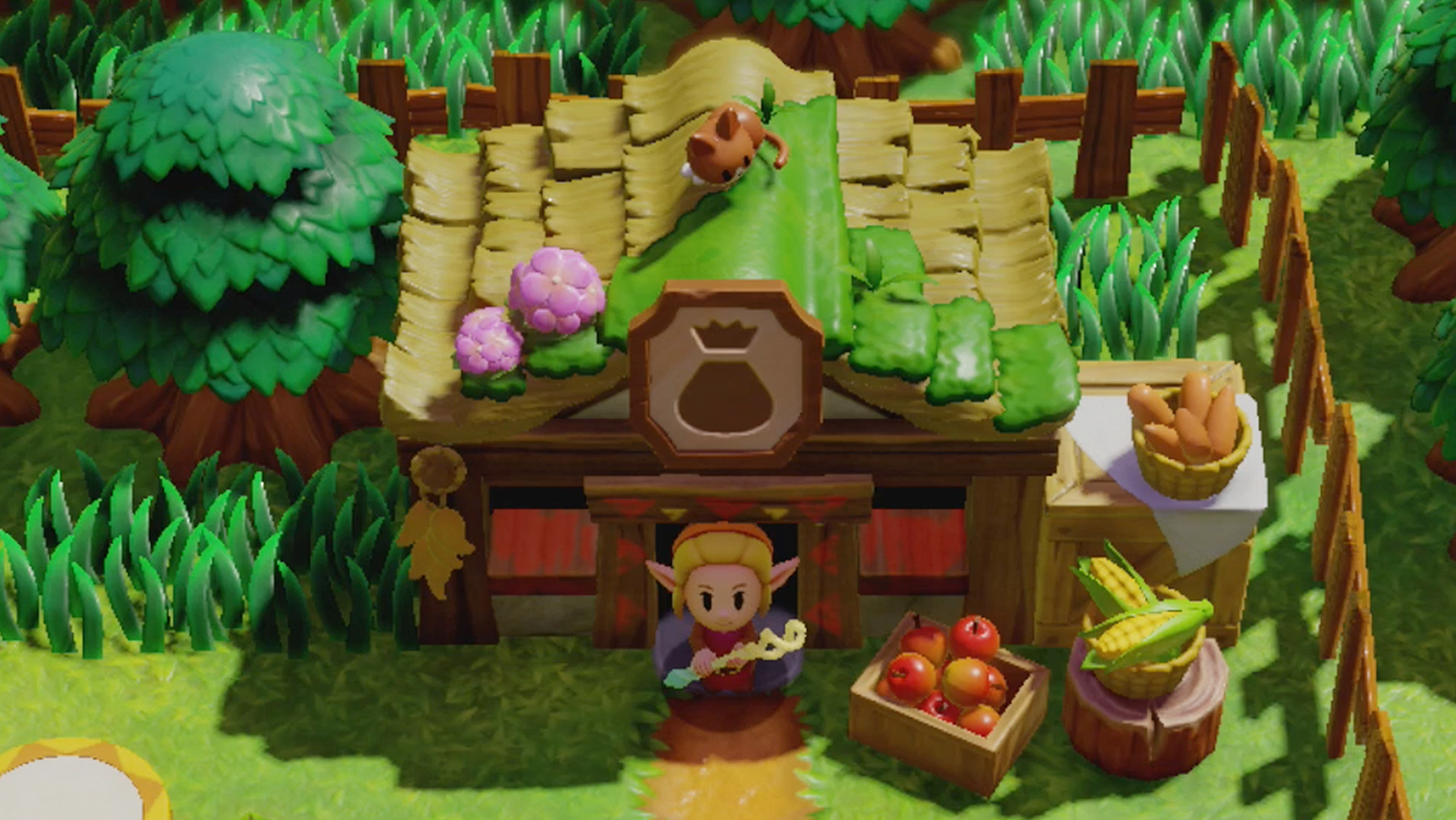 All shop locations in Zelda Echoes of Wisdom