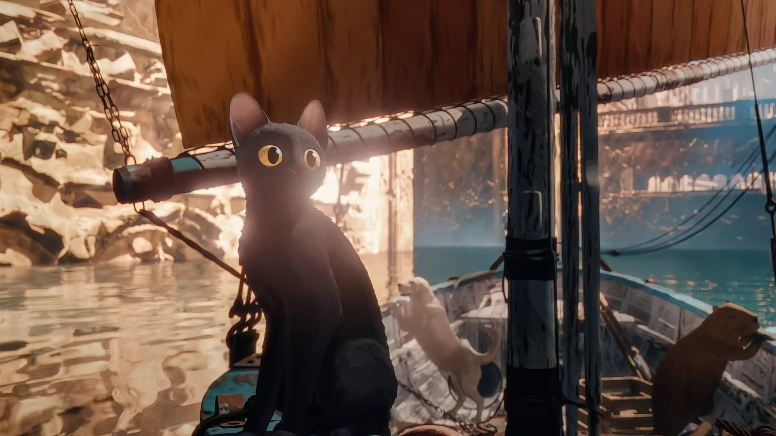 Flow director left hints in his movie about what happened to humanity