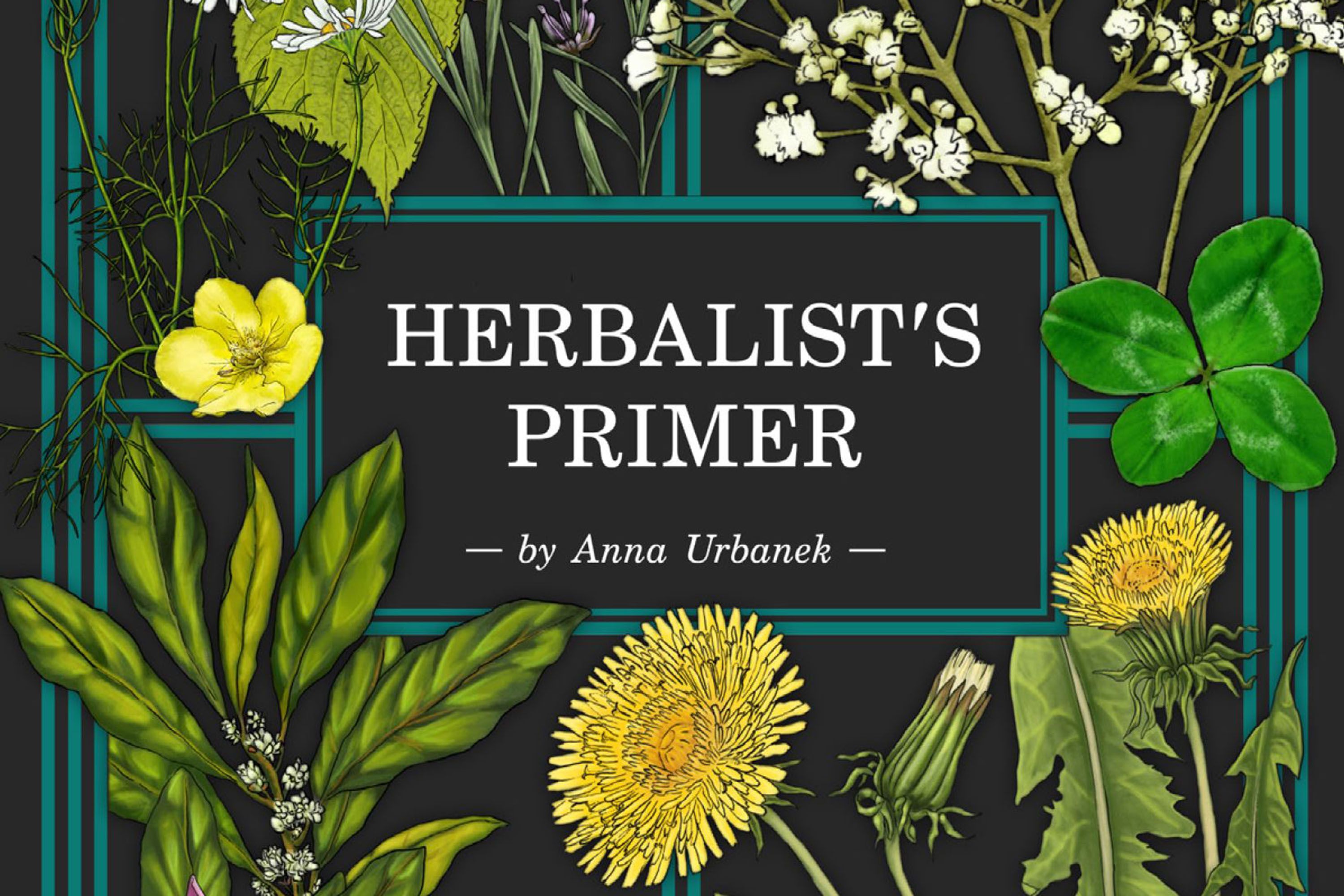 Herbalist’s Primer weaves science and fantasy into something more