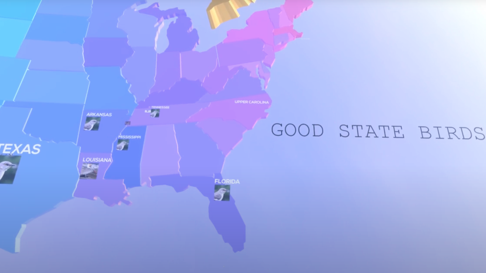 The state birds are garbage, but this video about them is genius