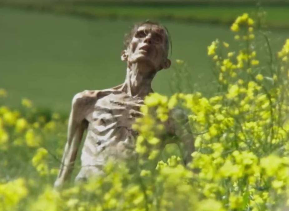 28 Years Later trailer: Is that zombie Cillian Murphy?