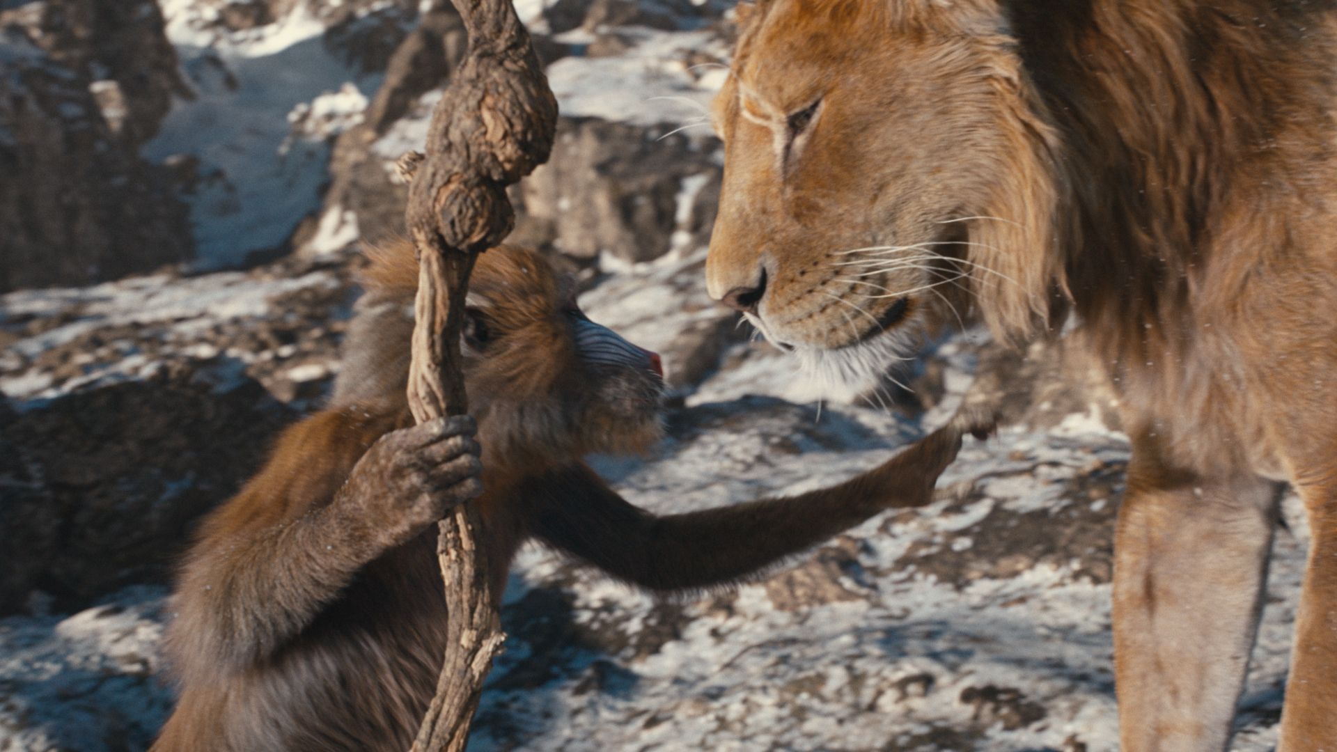 Mufasa review: The Lion King prequel feels like a DTV Disney knockoff