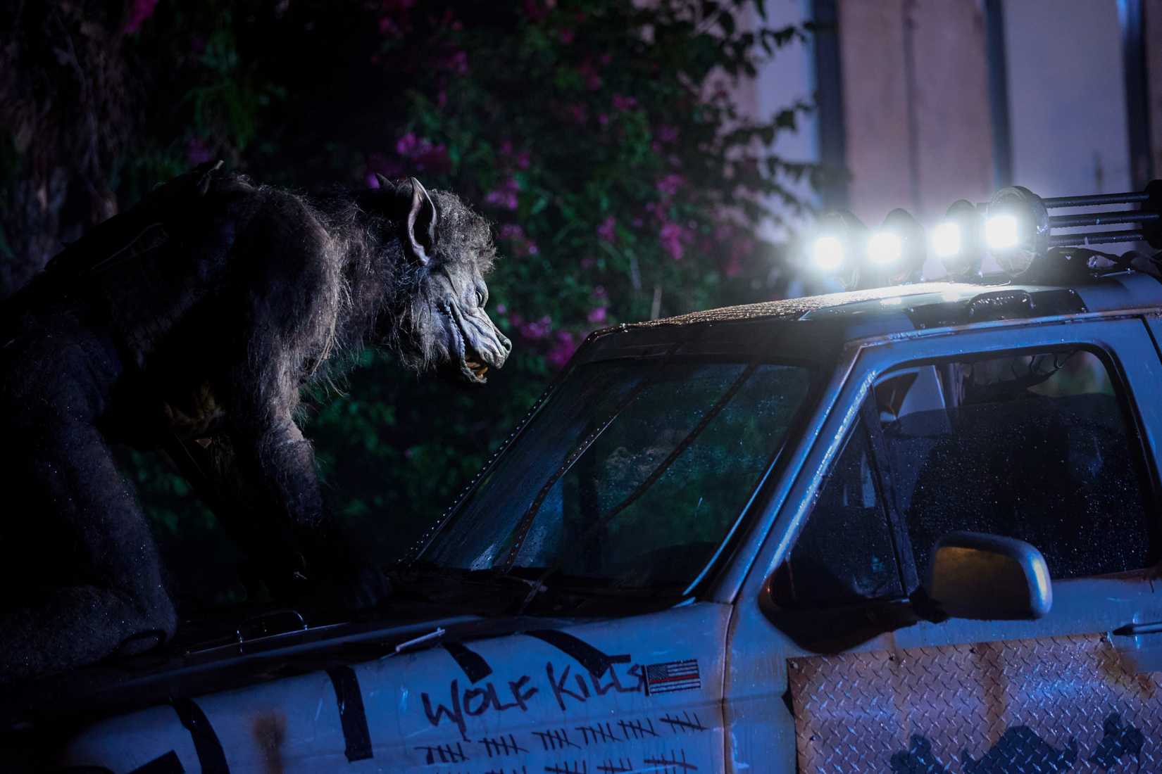 drooling wolf effect