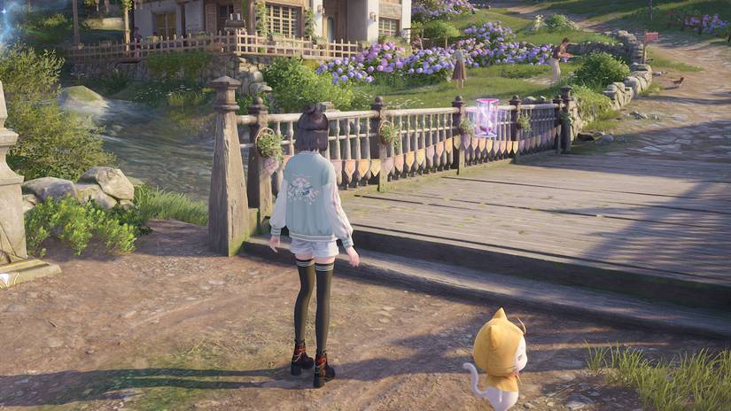 What Infinity Nikki multiplayer features are available at launch?