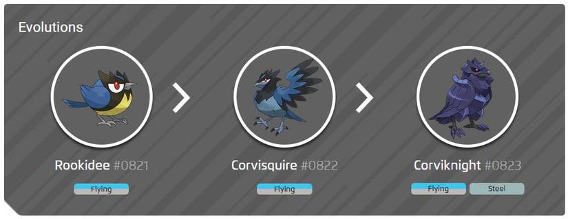 How to get Rookidee in Pokémon Go