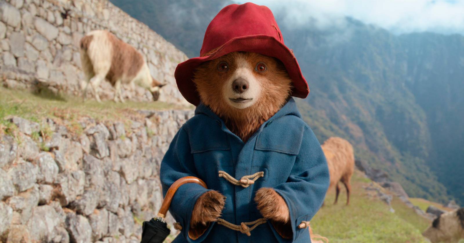 evil paddington