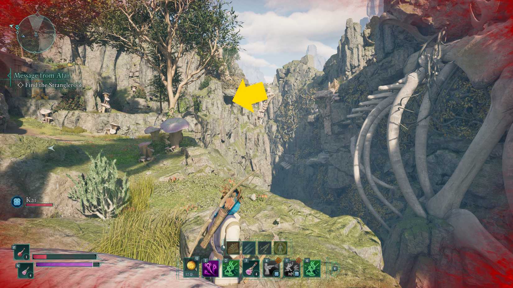 Intimidating Feline Codpiece treasure map location, solution in Avowed