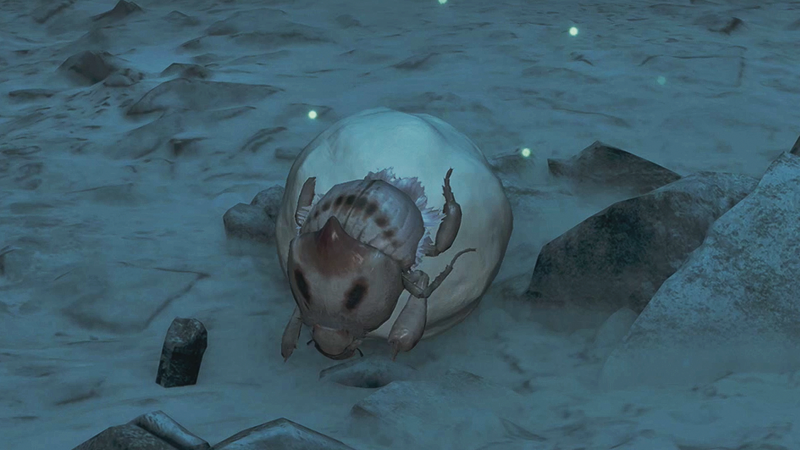 Where to find rime beetle locations in Monster Hunter Wilds