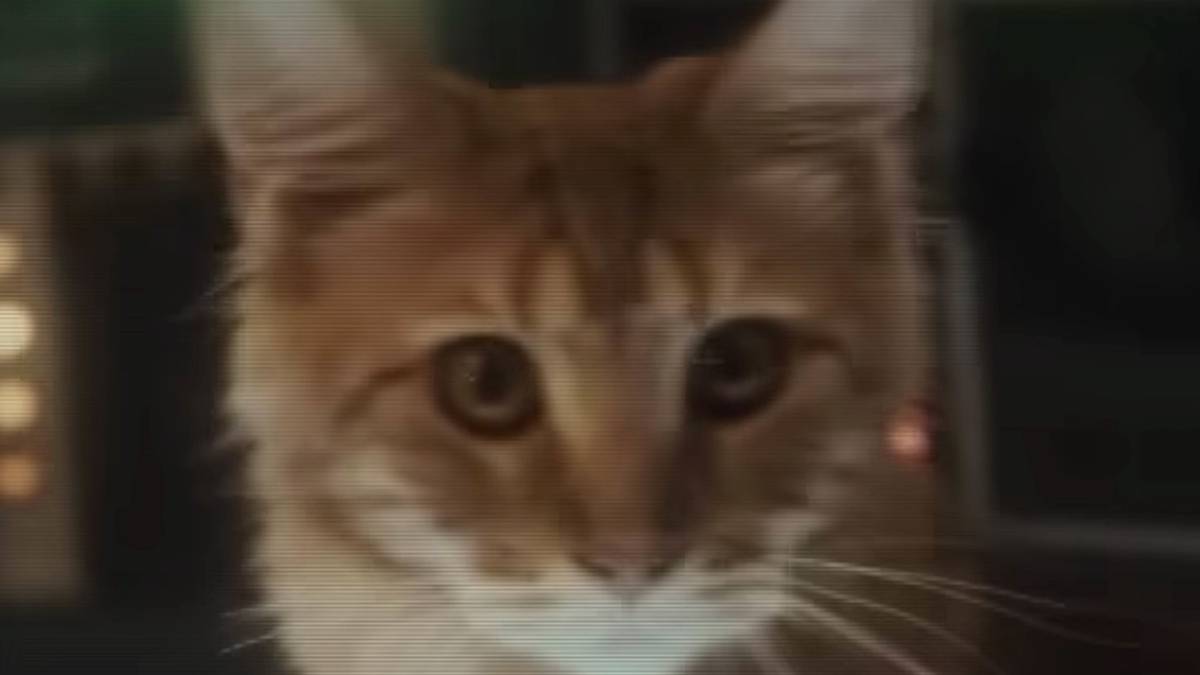 Alien: Earth trailer intros a cat, kicks off a theory