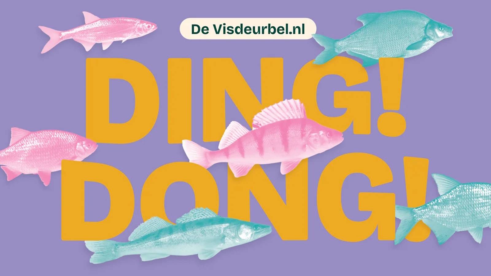 Help fish navigate Utrecht by ringing the Visdeurbel, or fish doorbell