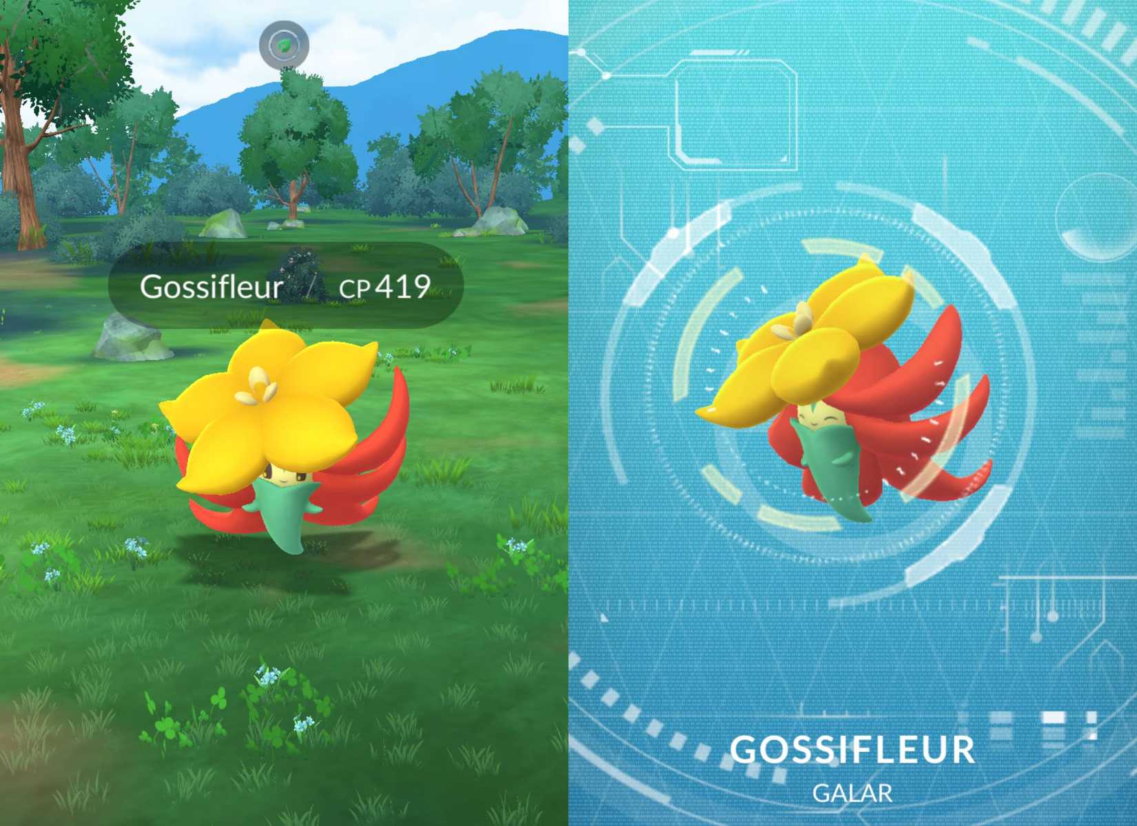 How to get Gossifleur and evolution Eldegoss in Pokémon Go