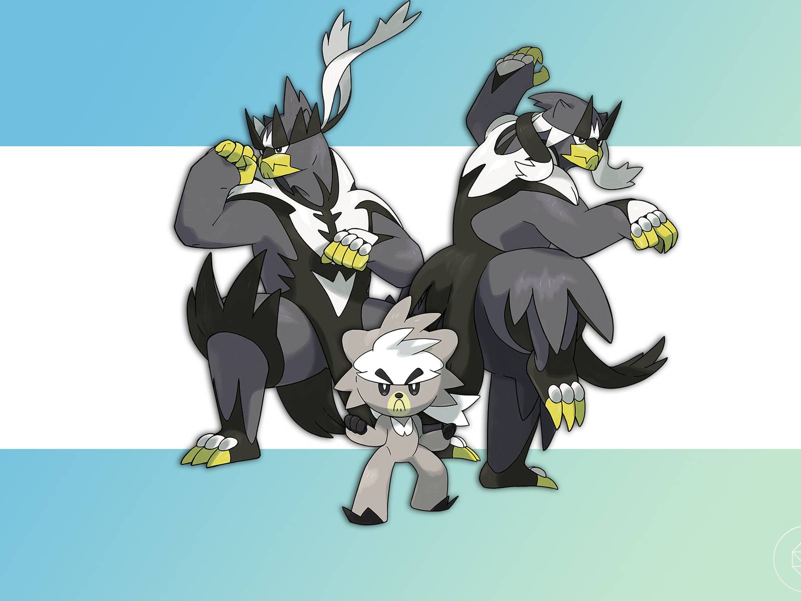 bear pokemon fighting