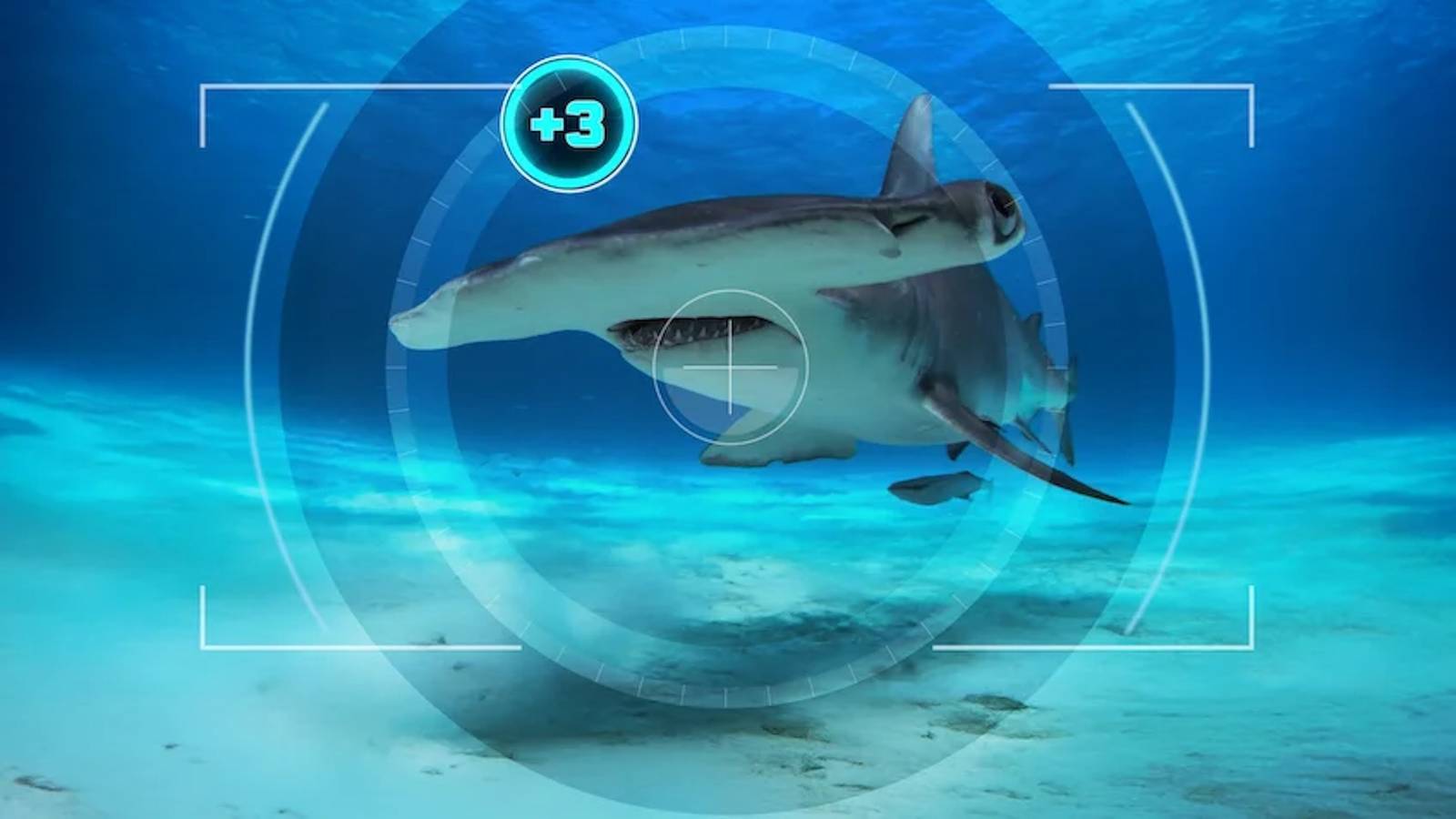 Netflix’s new reality show is Pokémon with sharks