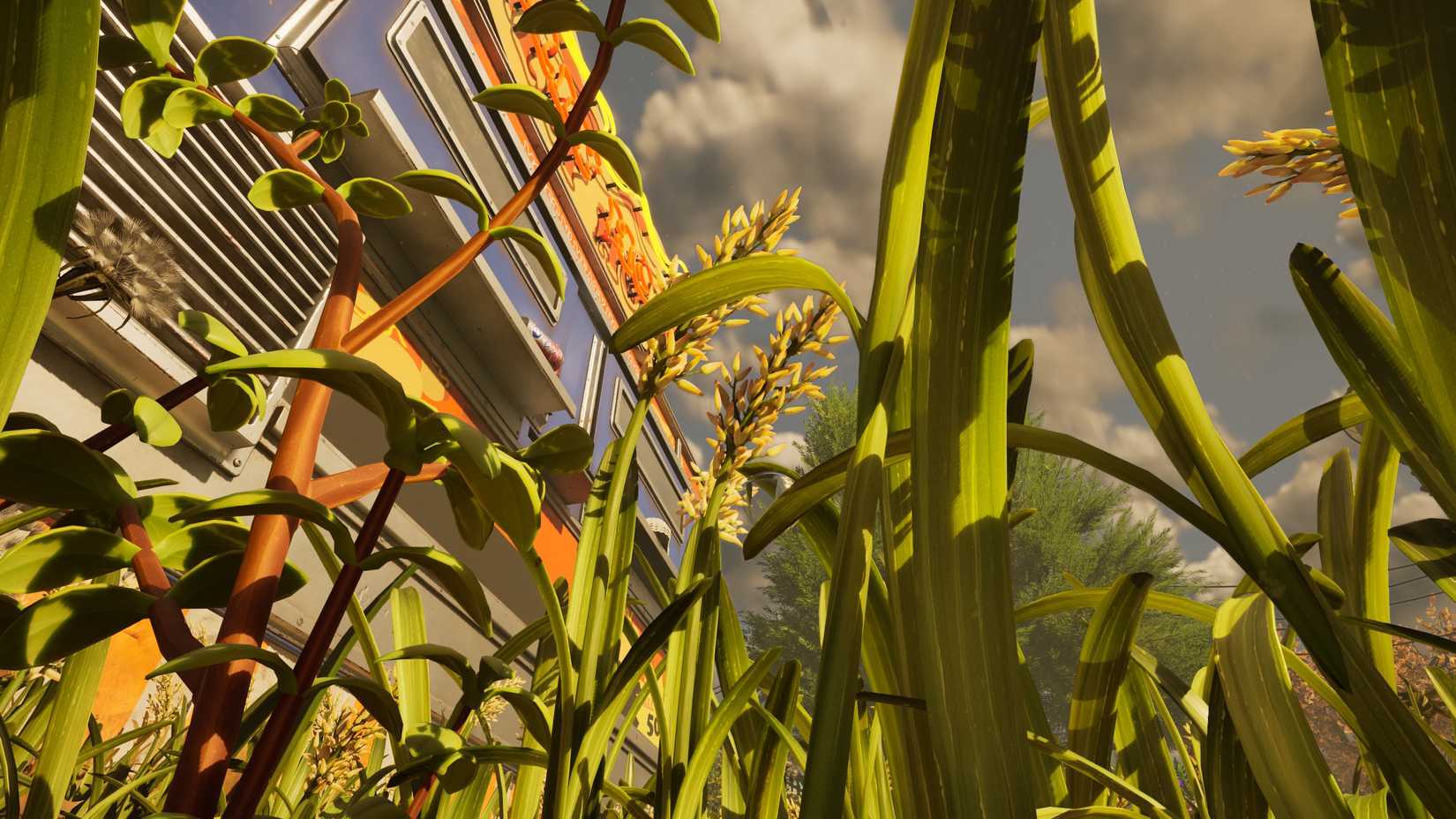 Where to find grass seeds in Grounded 2