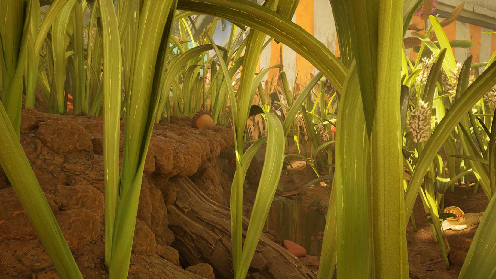 Where to find acorn shells and acorn tops in Grounded 2