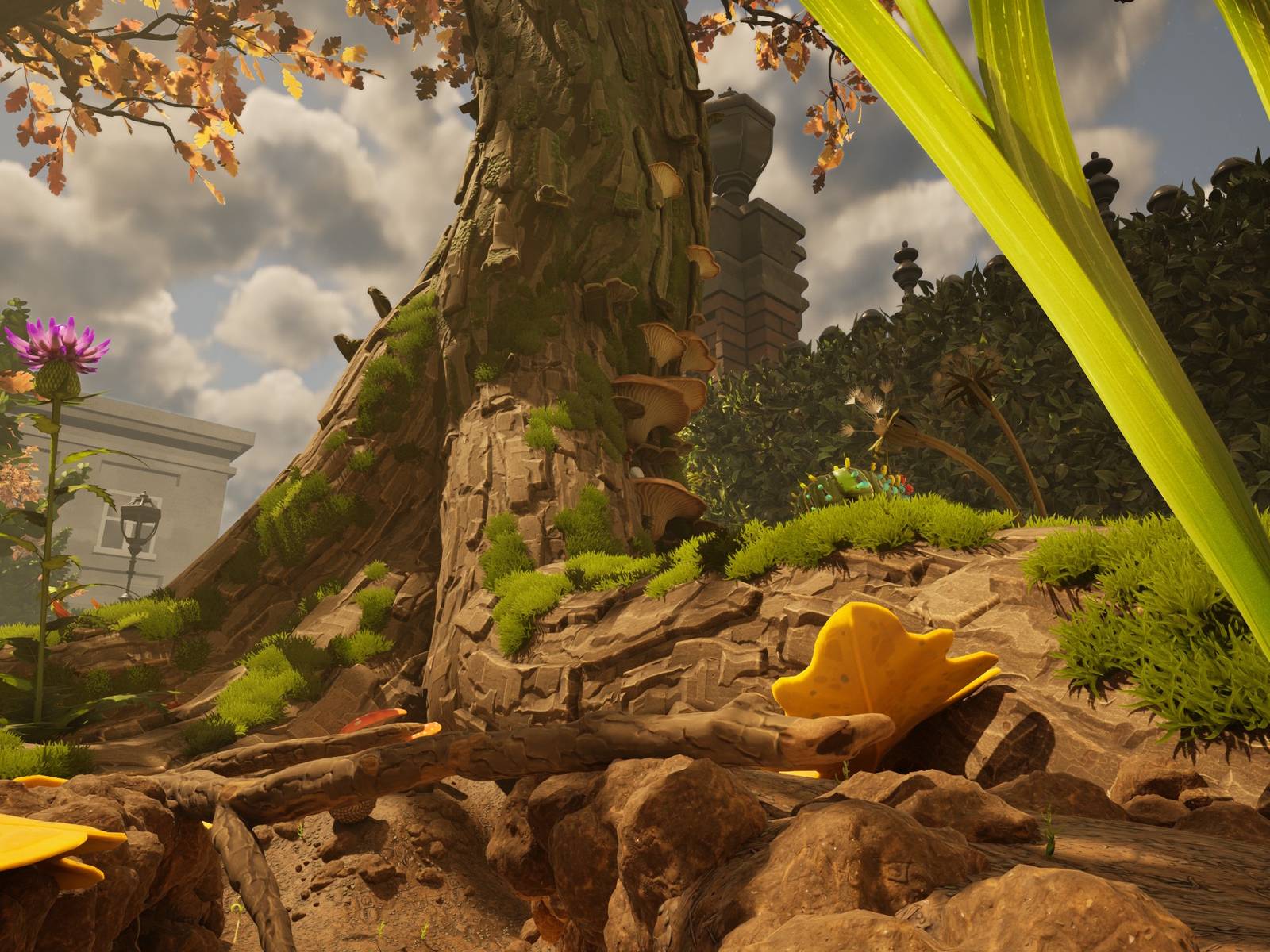 acorn shell grounded 2