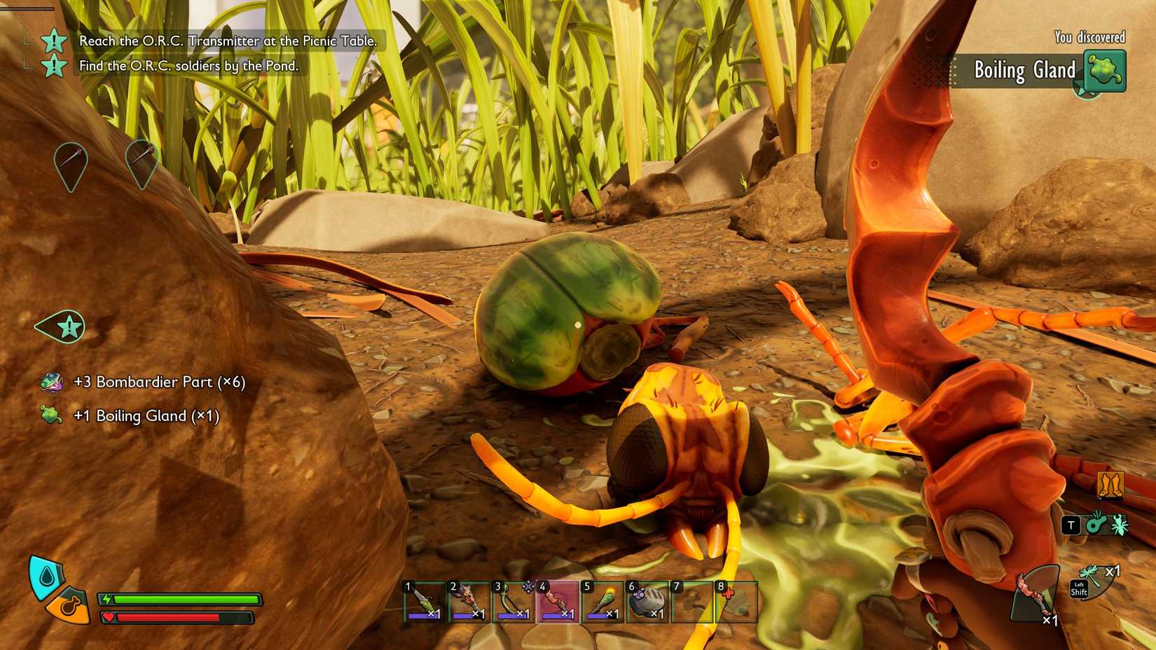 Where to find bombardier parts and boiling glands in Grounded 2