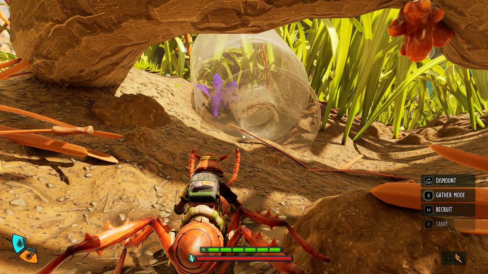 Where to find flower petals in Grounded 2