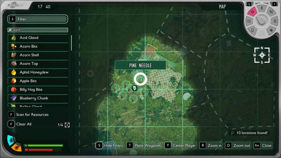 Where to find pine needles in Grounded 2