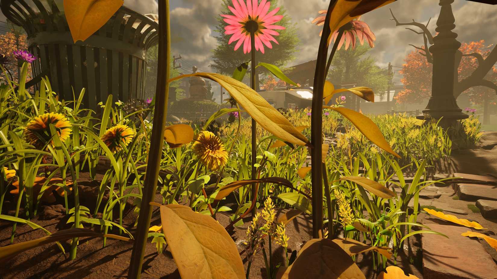 Where to find Praying Mantis Nymph locations in Grounded 2