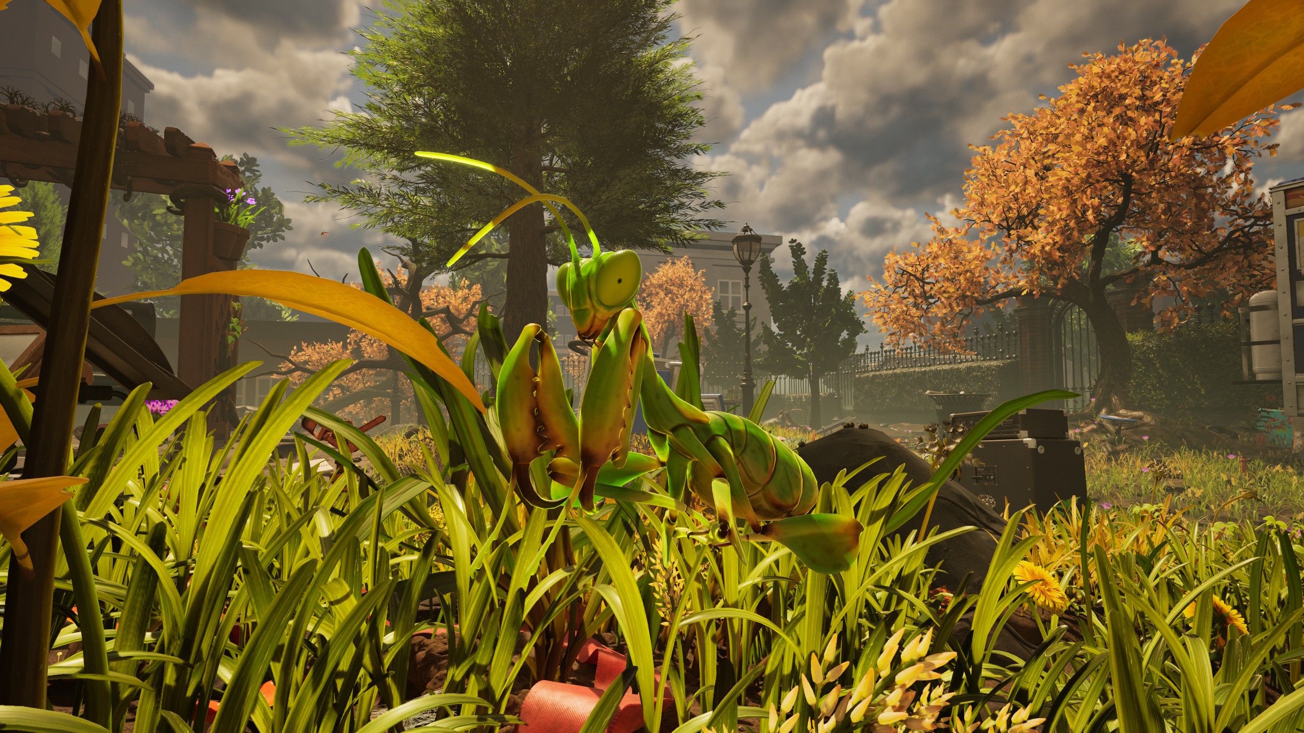 Where to find Praying Mantis Nymph locations in Grounded 2