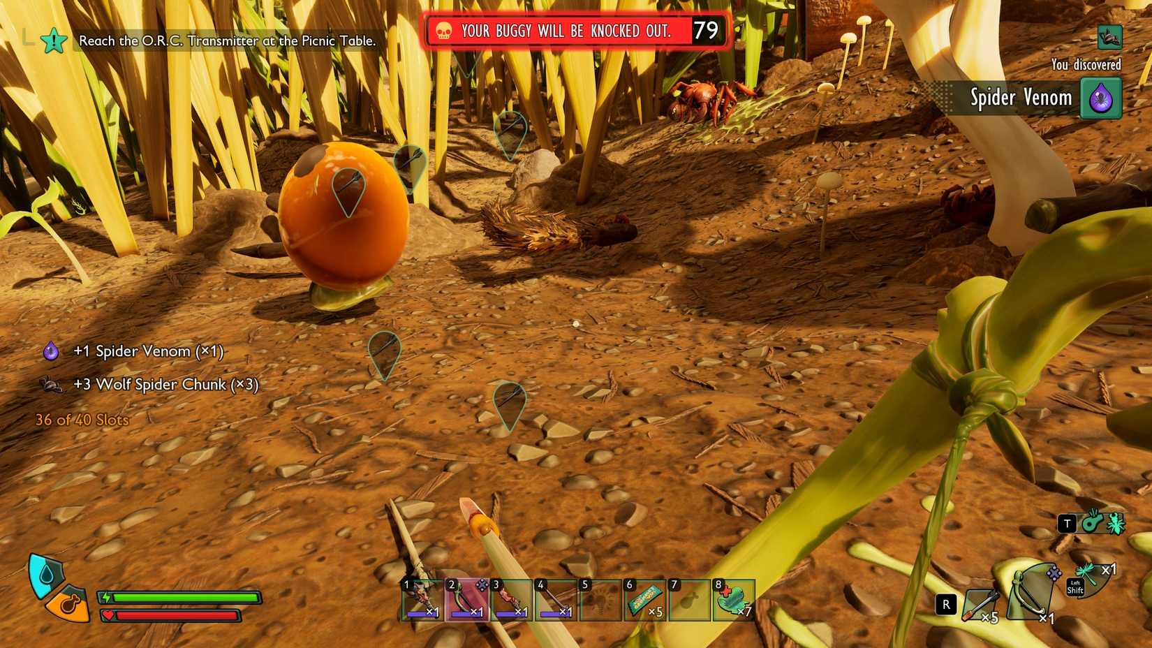 Where to find Wolf Spiders in Grounded 2