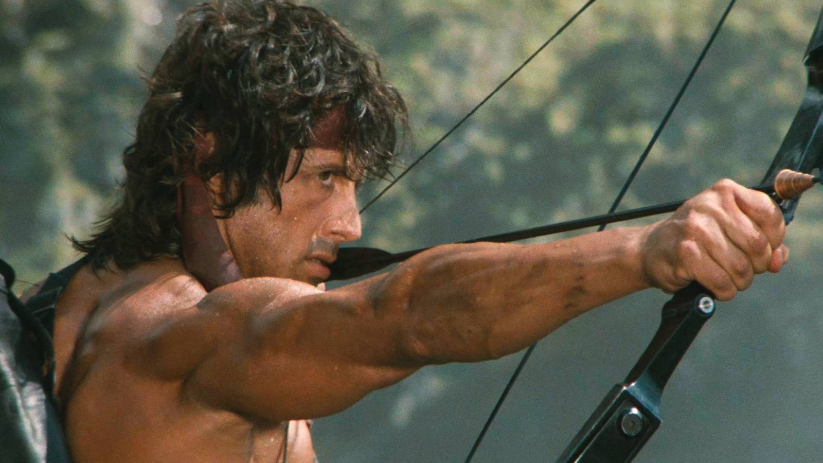 Rambo prequel director defends dropping Stallone for new actor