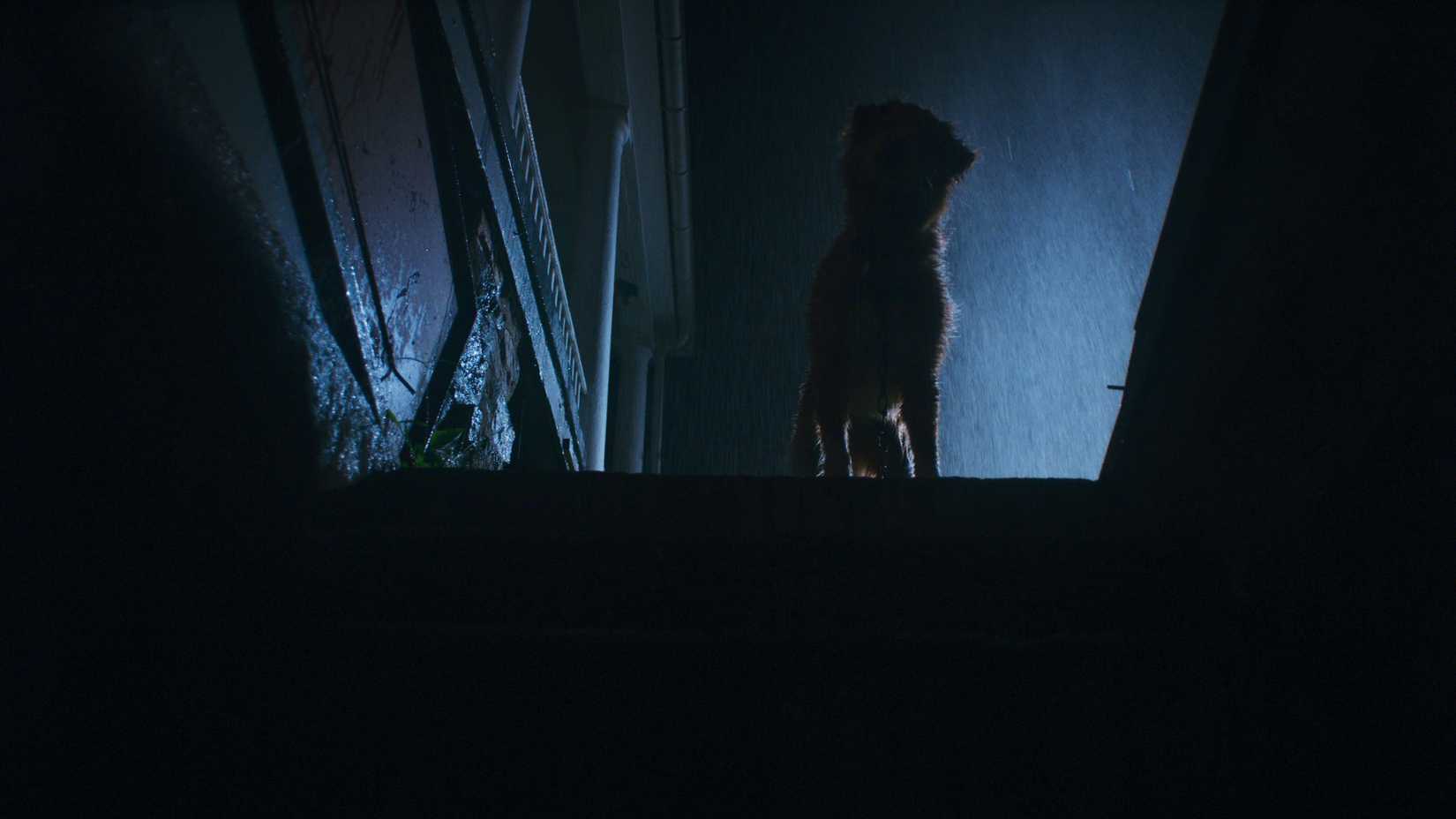 Good Boy's director explains the ending and the movie's meaning