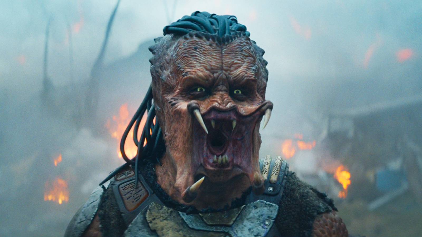 Predator: Badlands sets box office records for the franchise