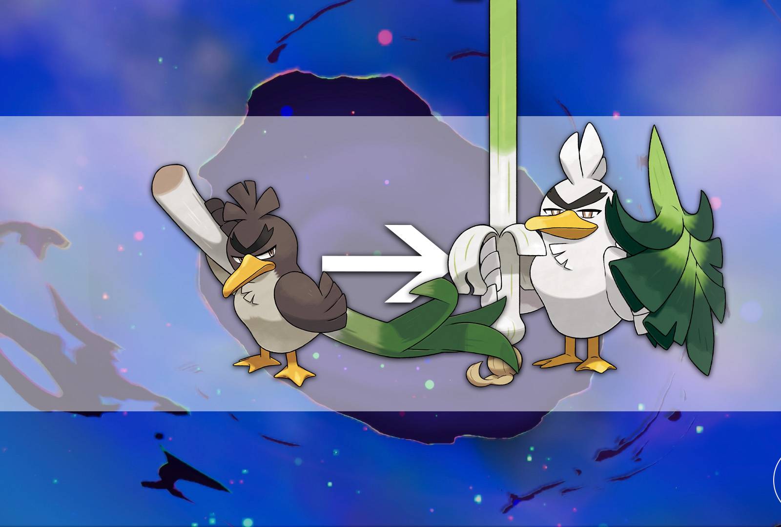 farfetch'd evolving