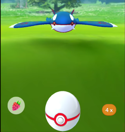 pokemon catch screen