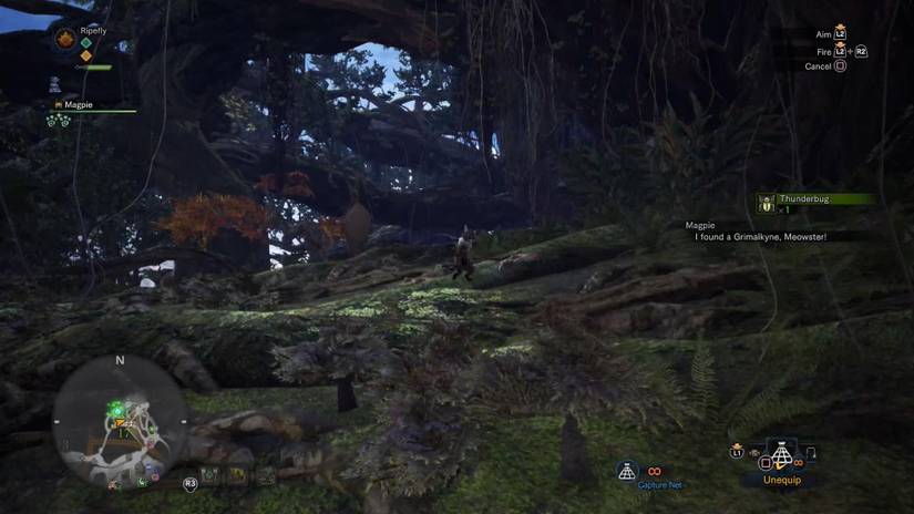 Monster Hunter: World grimalkynes guide