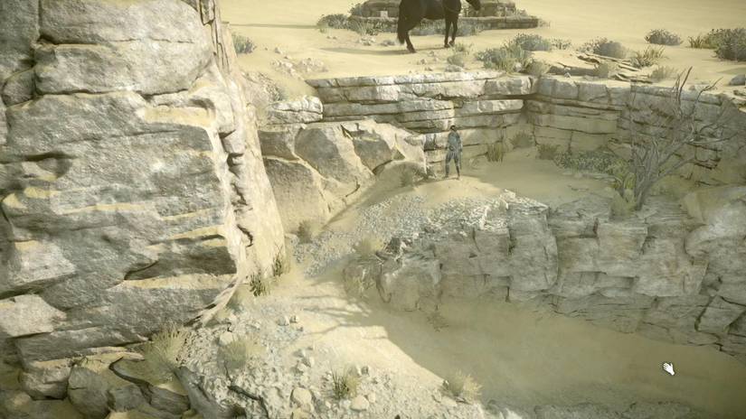 shadow of the colossus colossi 11