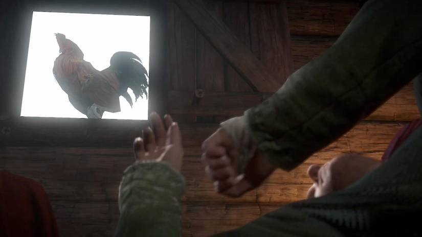 killing chickens kcd