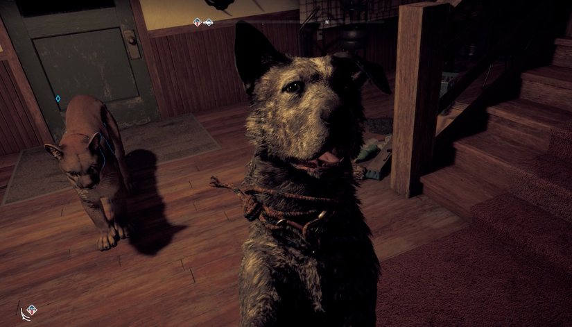 Far Cry 5 Beginner S Guide