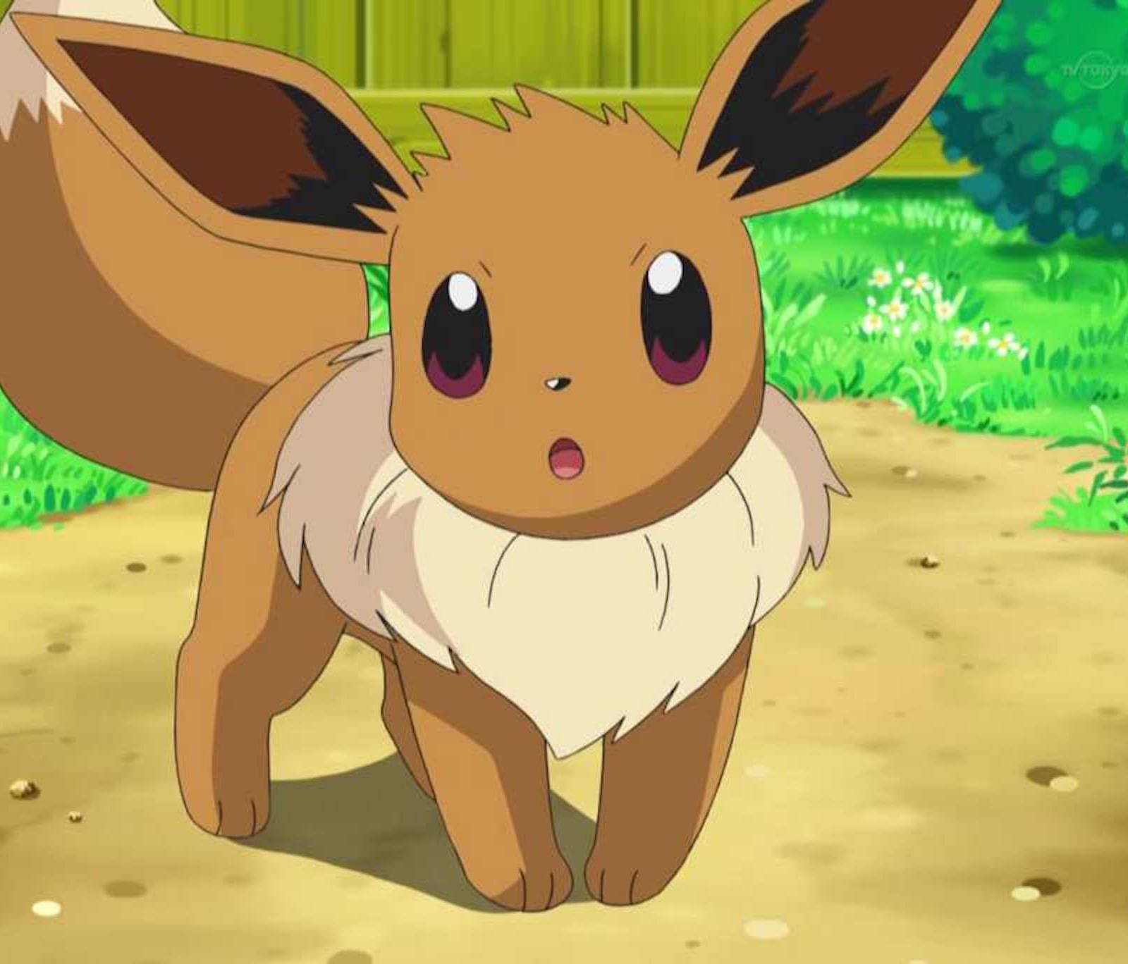 eevee fighting moves
