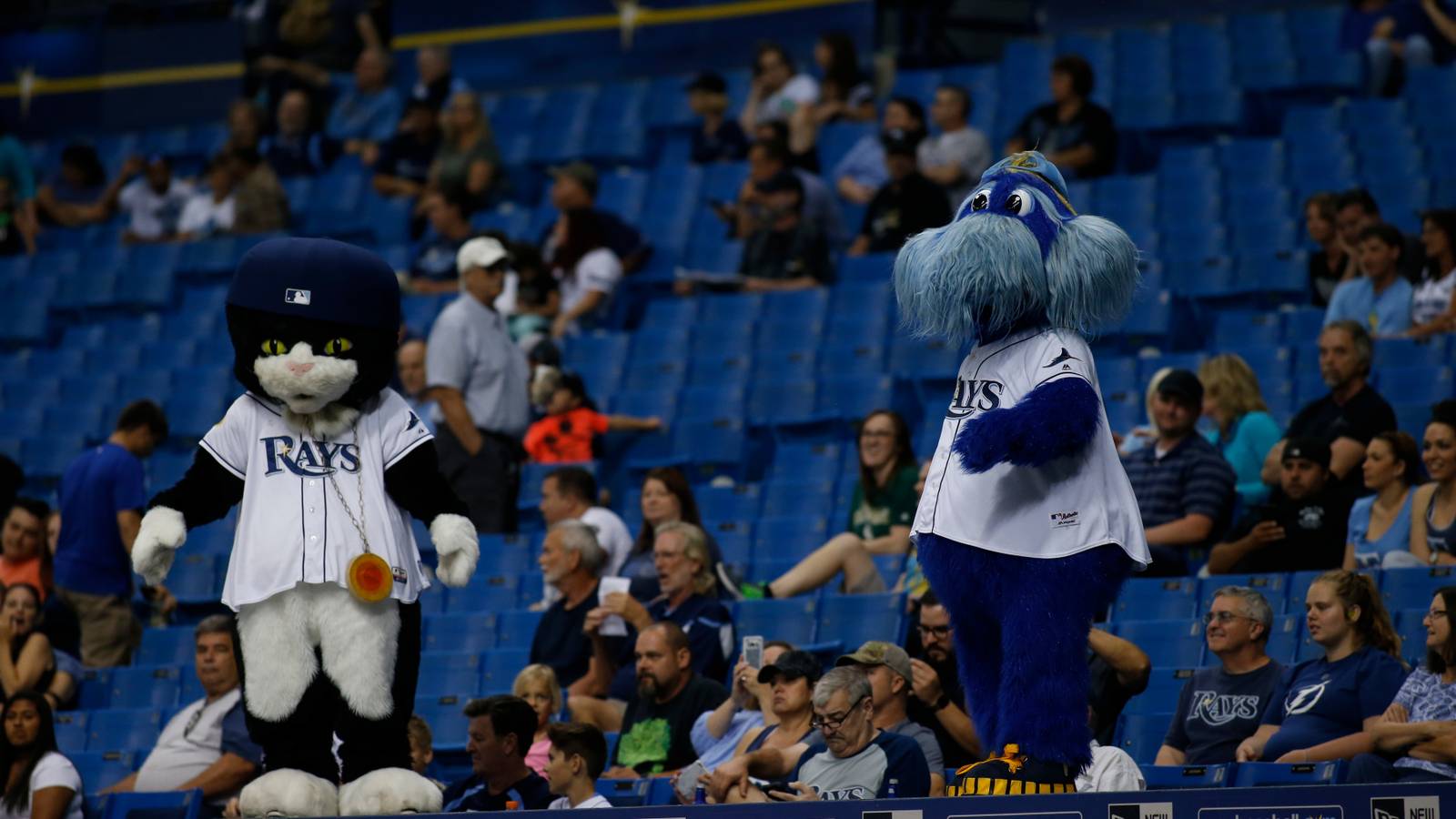 The history of sports mascots