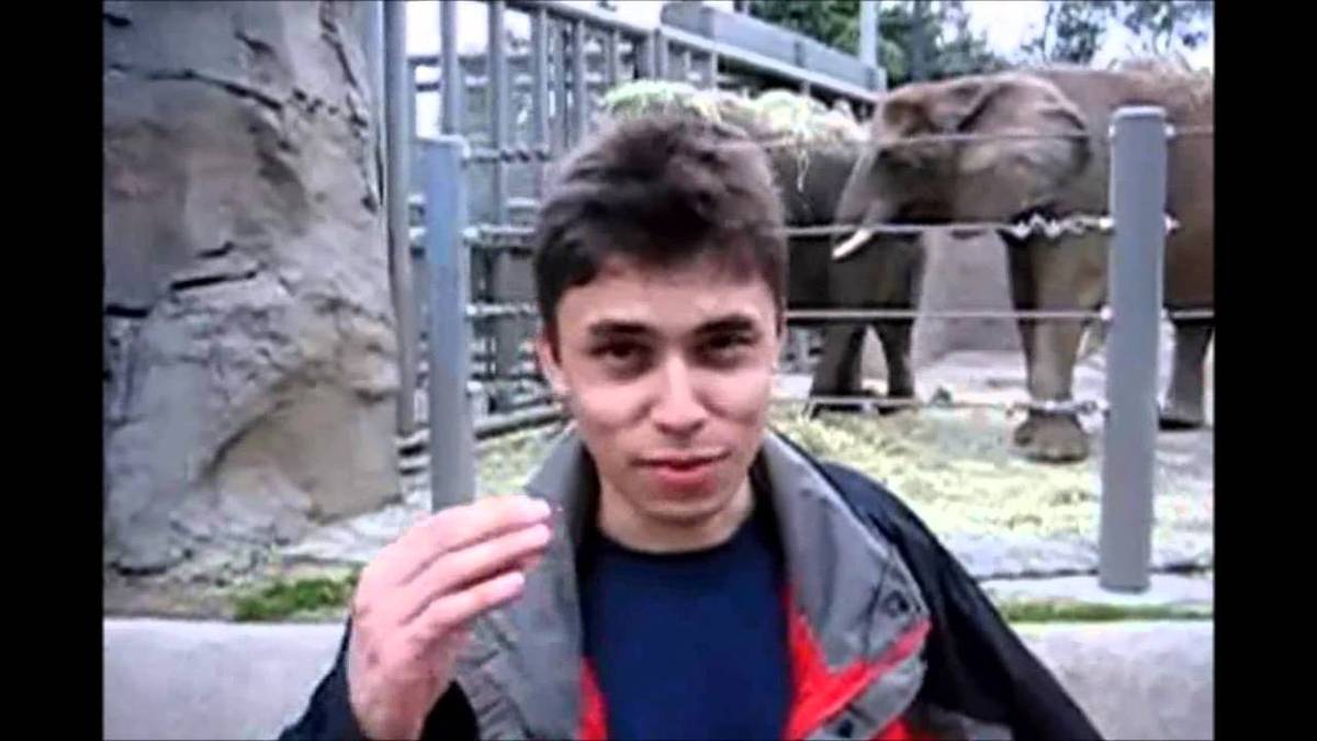 jawed karim