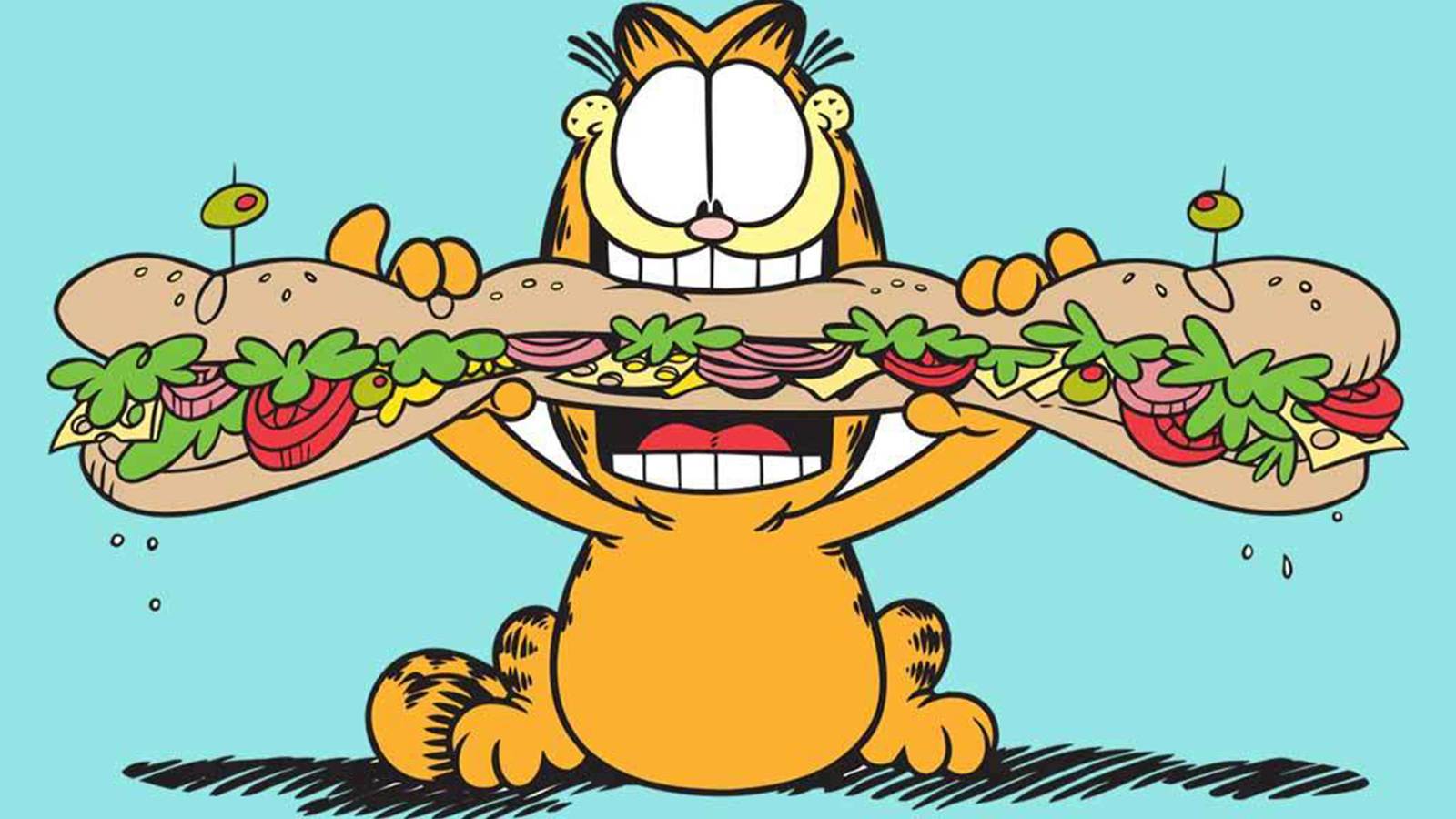 garfield well