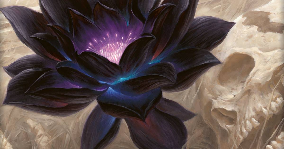 dark lotus background