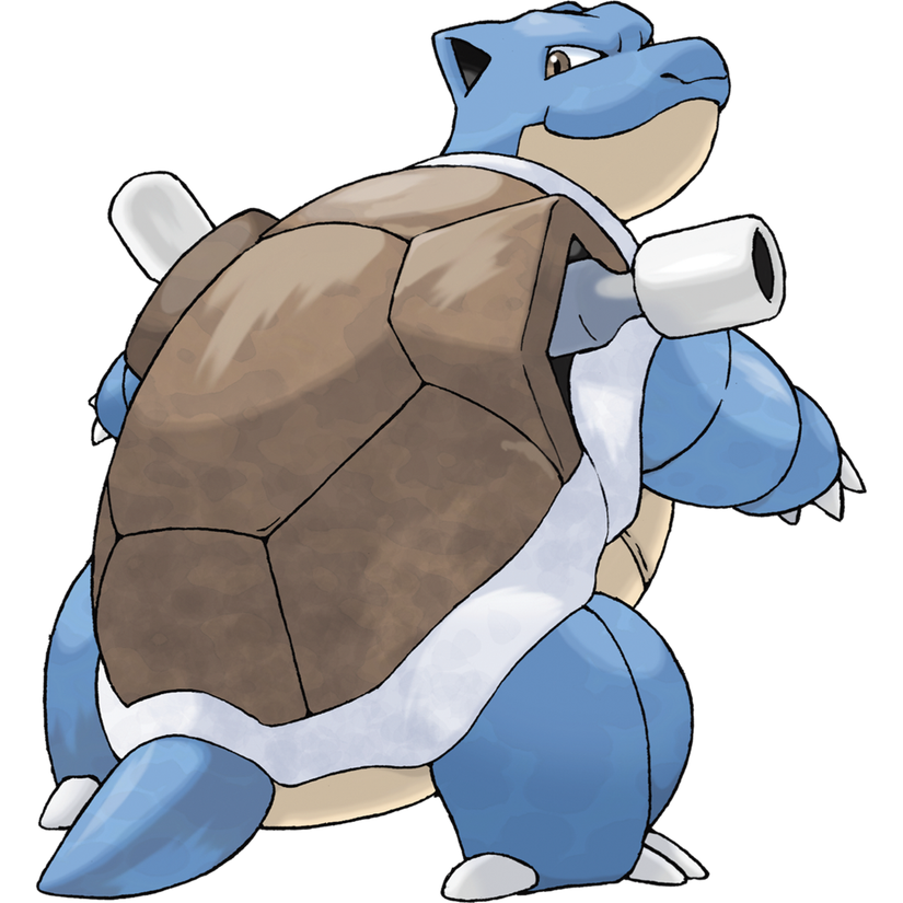 squirtle owner