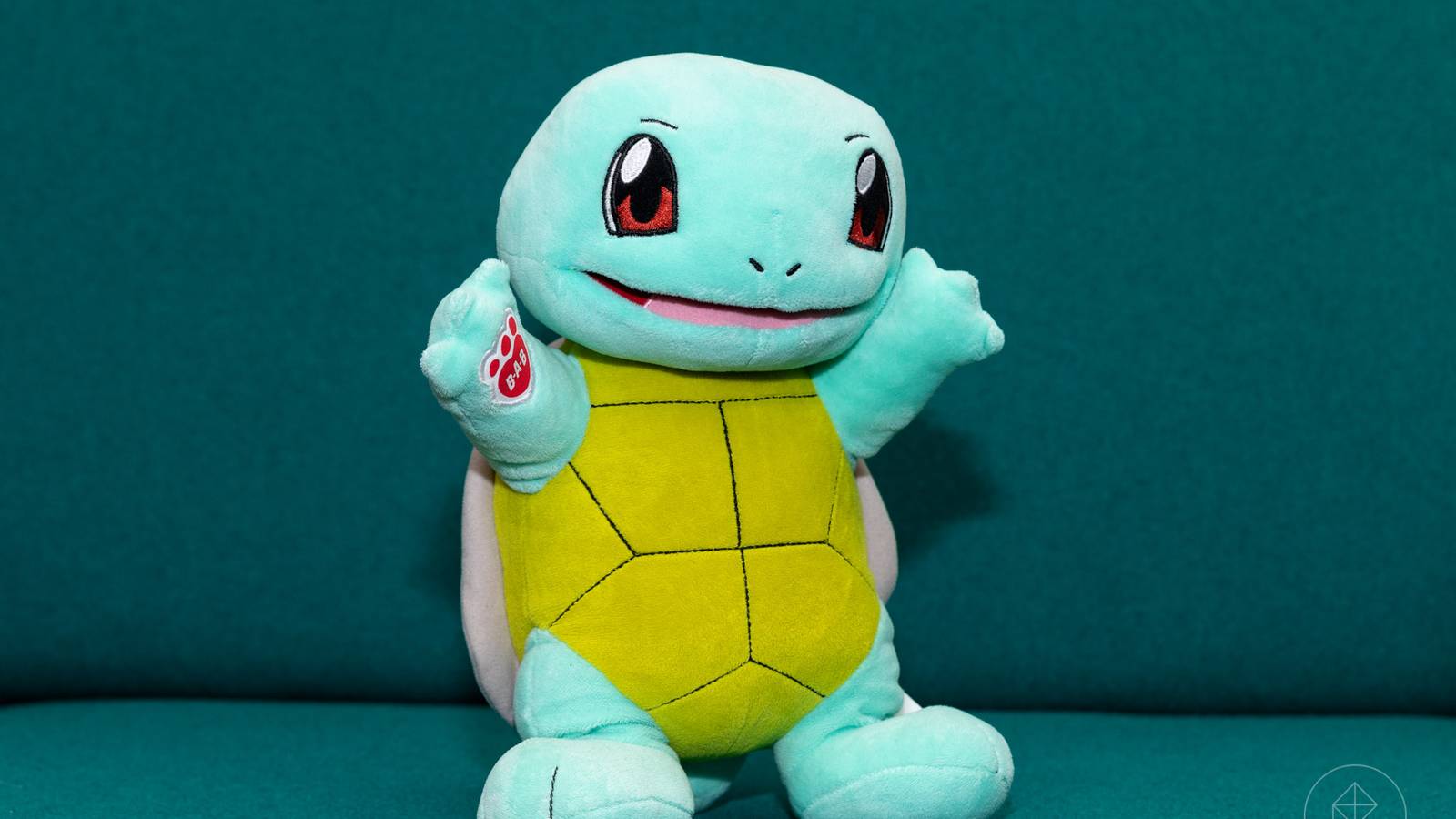 squirtle owner