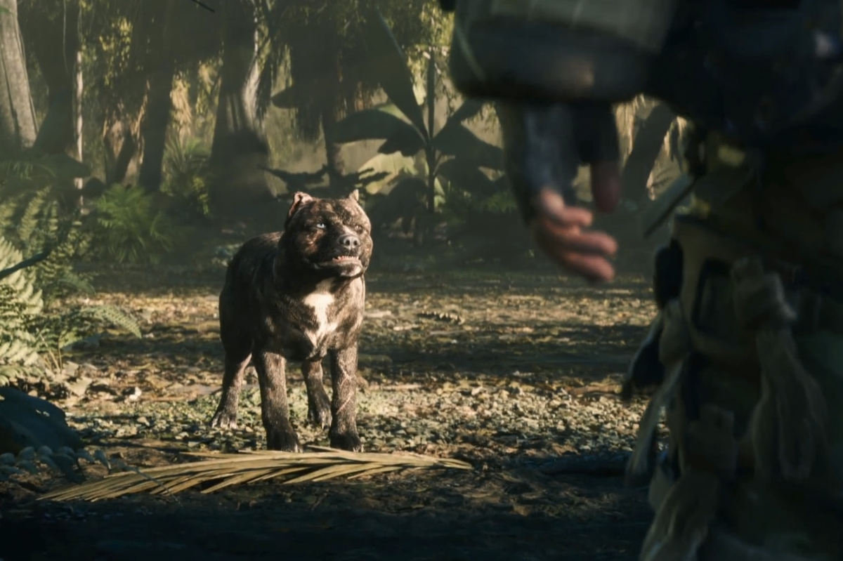 cod attack dogs killstreak