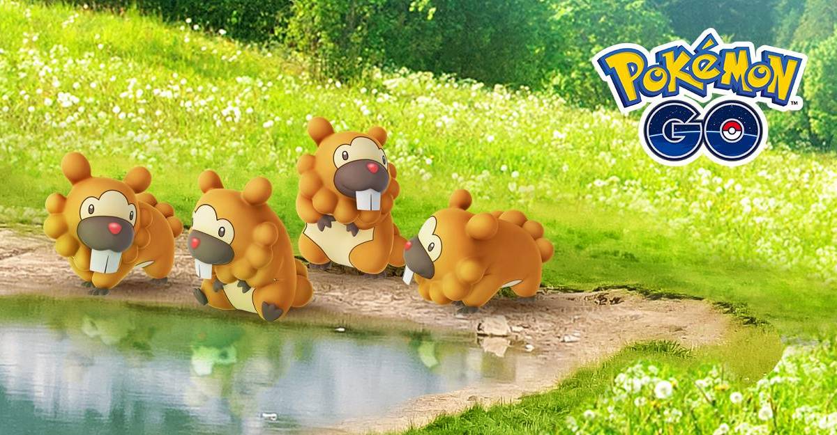 bidoof funny