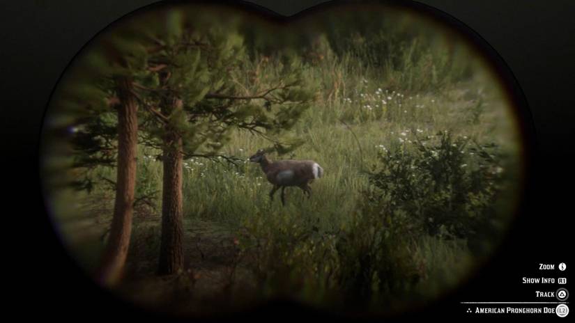 Flight feather rdr2 - Xalam.blog