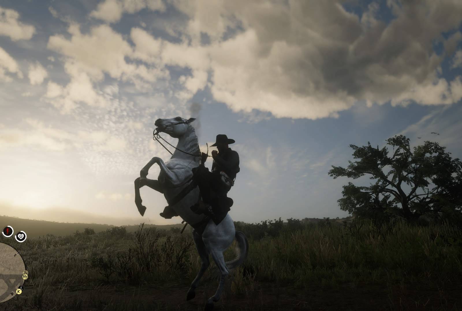 draft horses rdr2